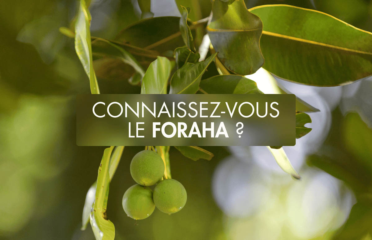 Les bienfaits du Foraha pour la Peau : Un Régénérant Hydratant Naturel ...